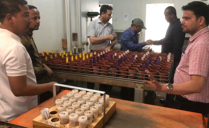 Wheat Rust | Aik Saath